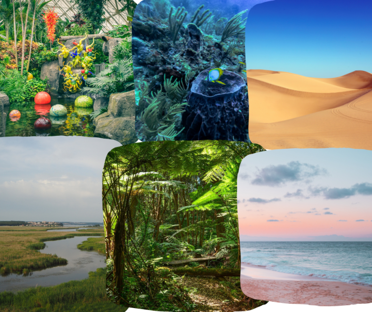 What is an Ecological Niche?: Decoded – Decoding Biosphere