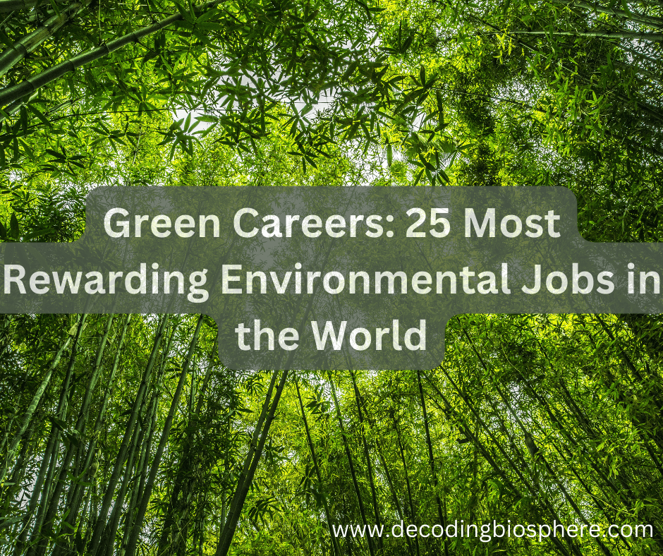 Green Careers: 25 Most Rewarding Environmental Jobs in the World ...