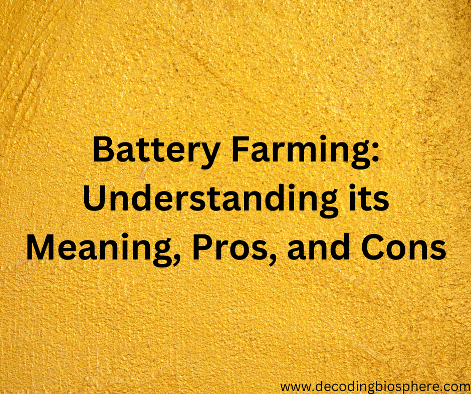 Battery Farming: Understanding its Meaning, Pros, and Cons – Decoding ...