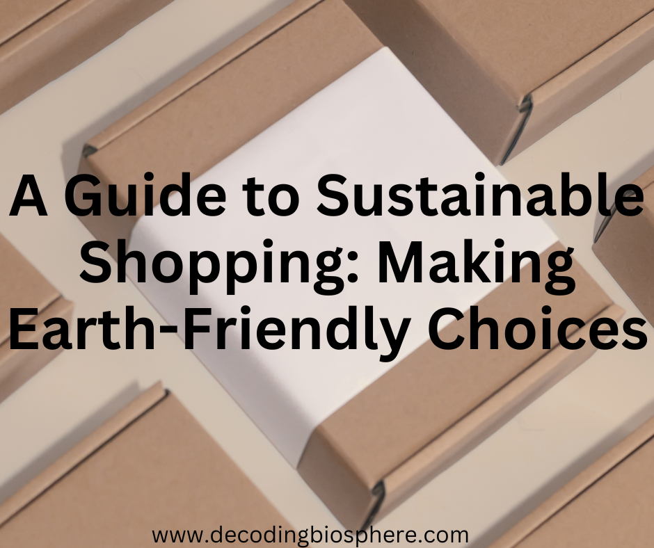 A Guide to Sustainable Shopping: Making Earth-Friendly Choices ...