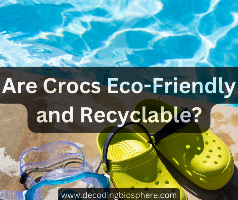 Are Crocs Eco-Friendly and Recyclable? – Decoding Biosphere