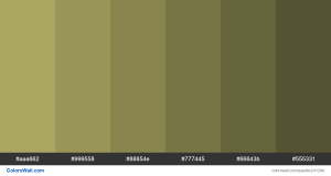 What Color is Khaki? Learn Some facts about Khaki – Decoding Biosphere