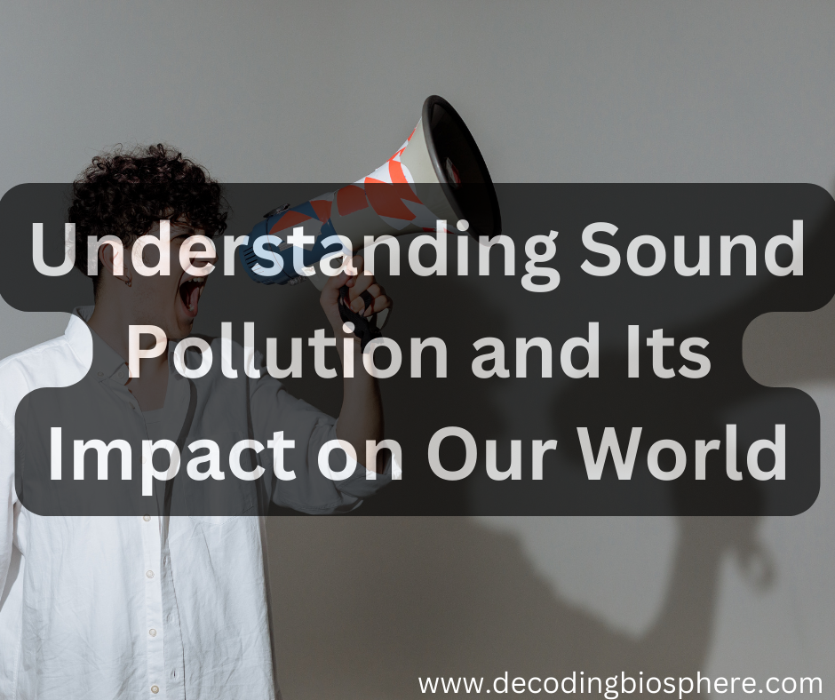 Understanding Sound Pollution and Its Impact on Our World – Decoding ...