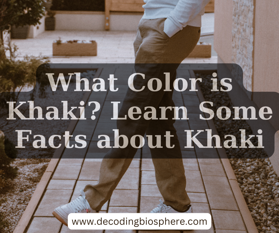 What Color is Khaki? Learn Some facts about Khaki – Decoding Biosphere