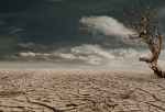 Understanding Drought: Causes and Effects on People and the Environment ...