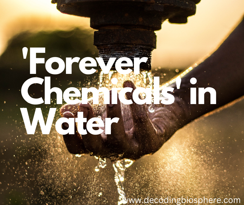 What Are Forever Chemicals In Rainwater at Maria Adkins blog