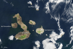 Have you Heard About an Archipelago? – Decoding Biosphere