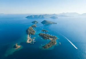 Have you Heard About an Archipelago? – Decoding Biosphere