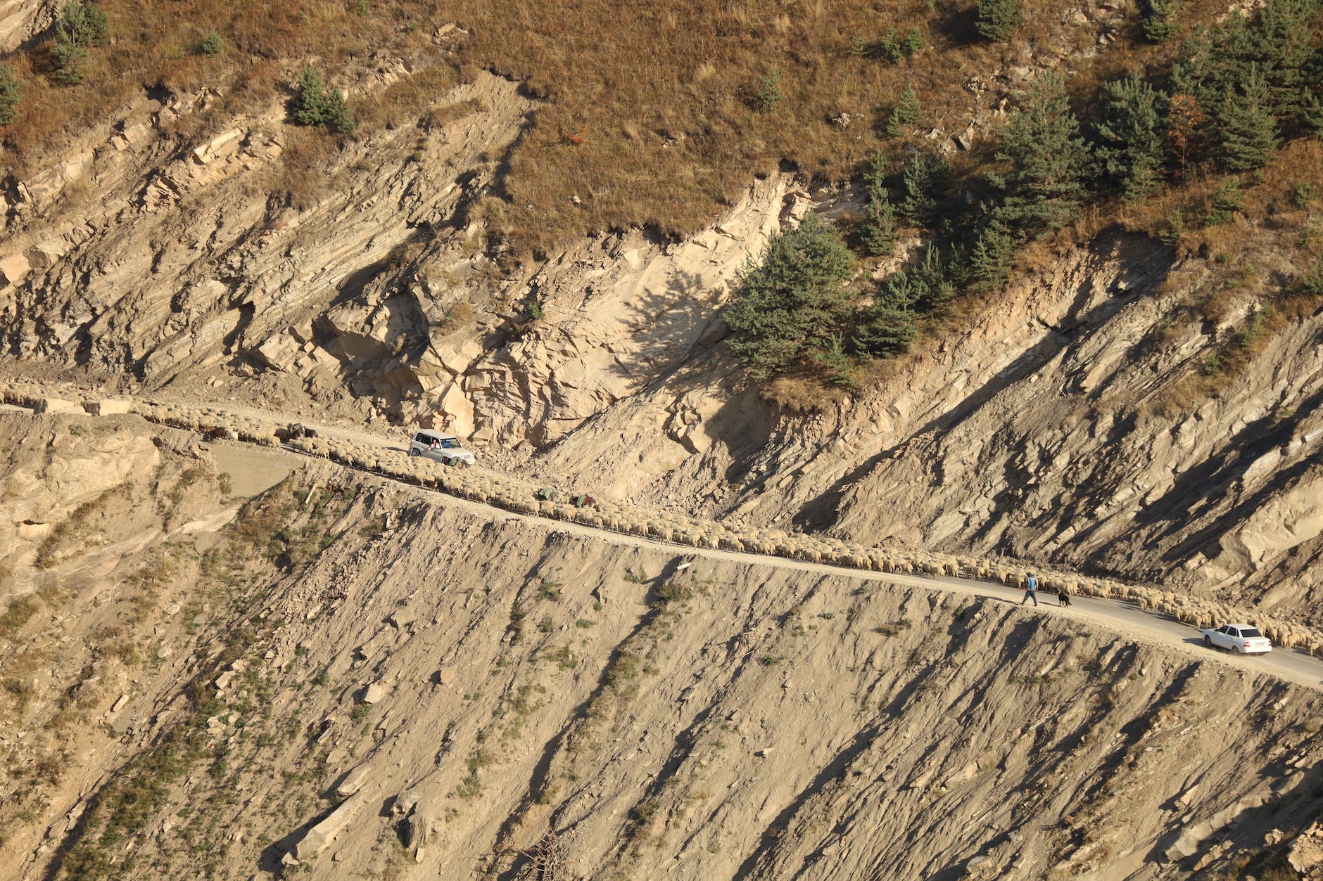 Understanding Mass Wasting: Types and Causes of Rock Movements ...