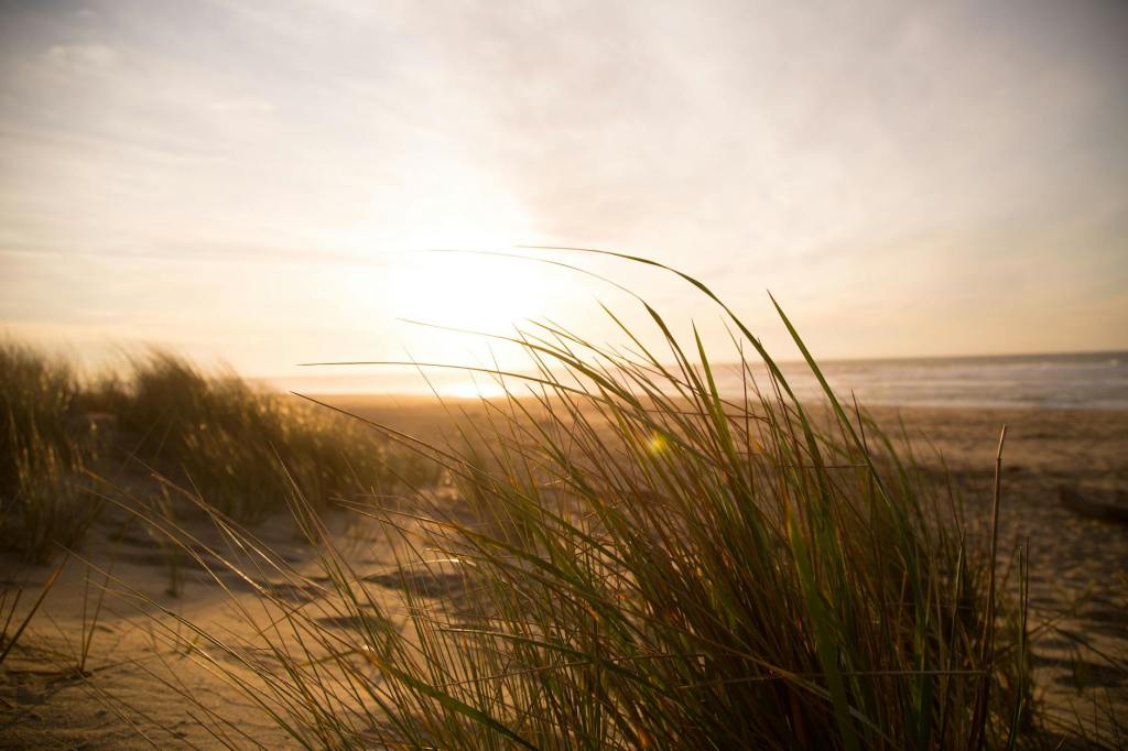 Understanding the Coriolis Effect and Its Impact on Global Wind ...