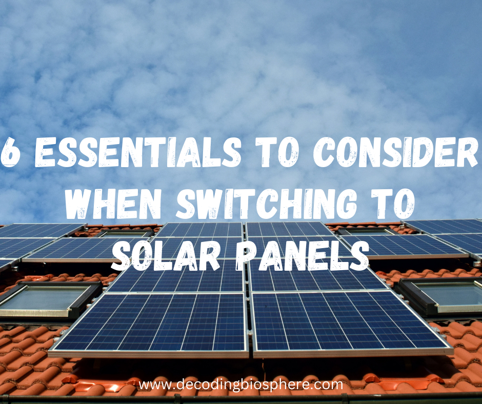 6 Essentials to Consider When Switching to Solar Panels – Decoding Biosphere