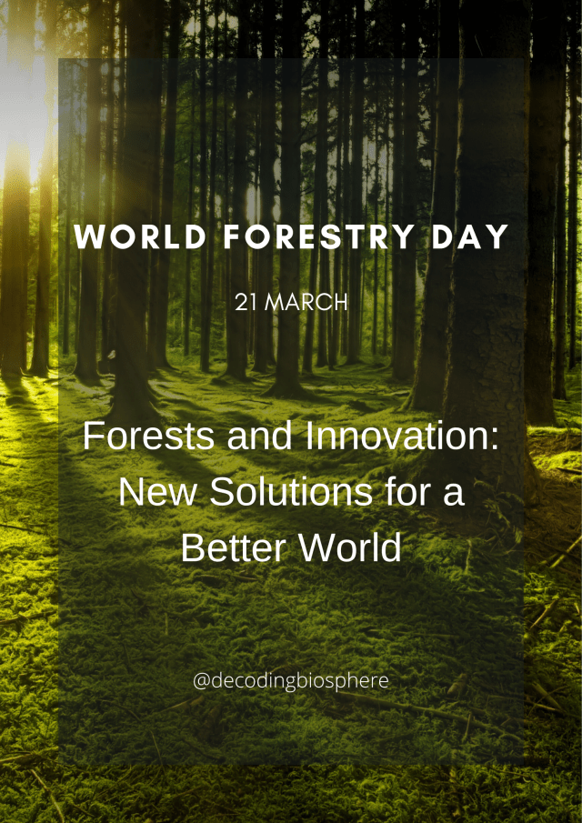 World Forestry Day Quotes The Future Of Forests: A Crucial Outlook