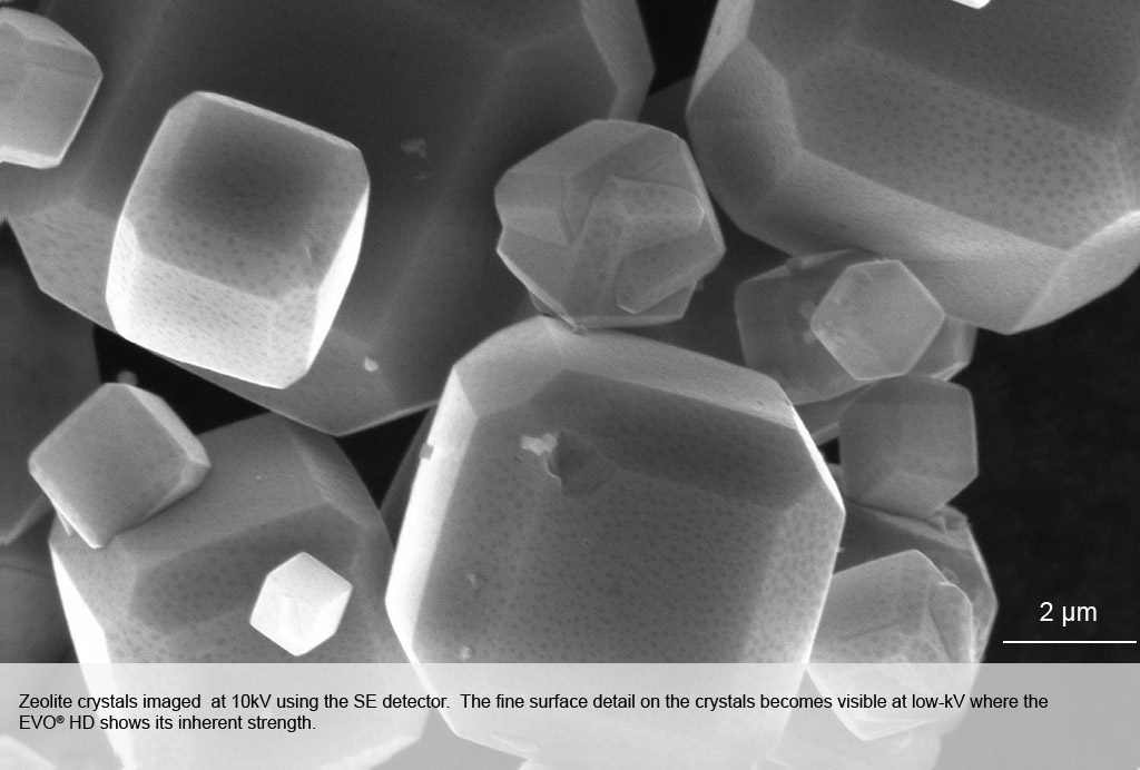 What are Zeolites and Its Uses? – Decoding Biosphere