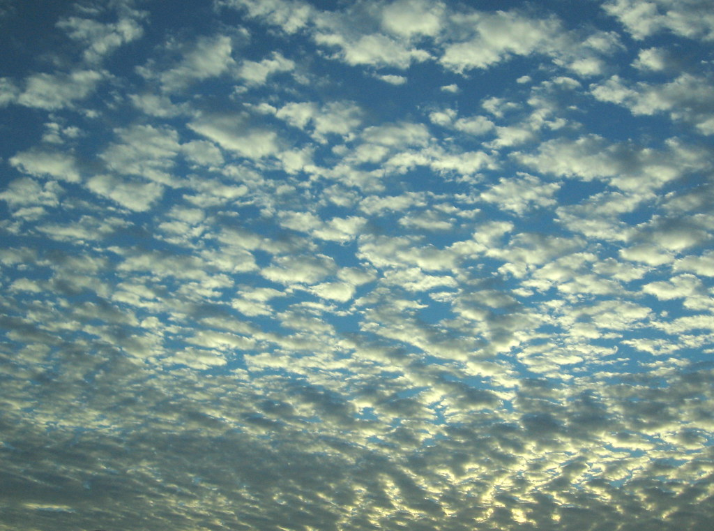 What is a Mackerel Sky? – Decoding Biosphere