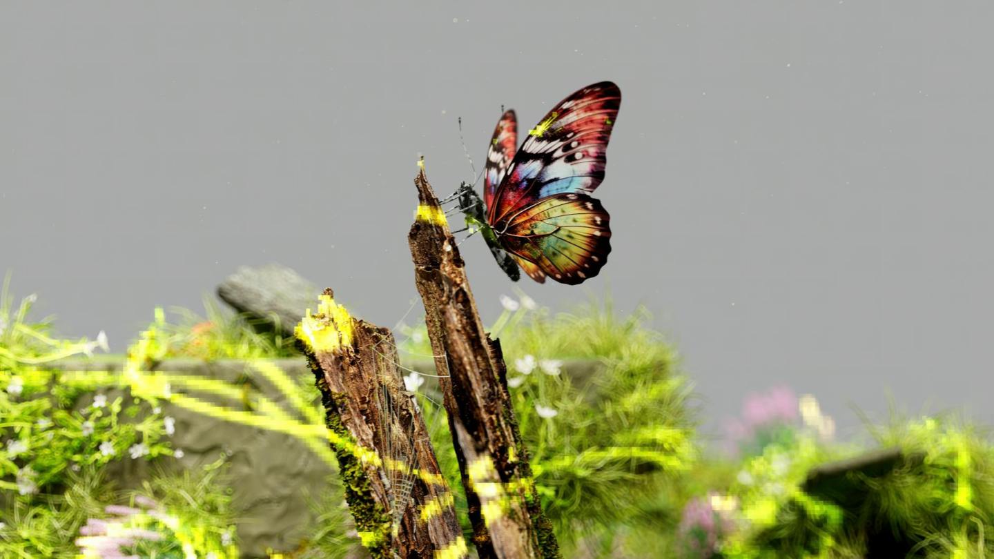 Zonation Meaning and Examples – Decoding Biosphere
