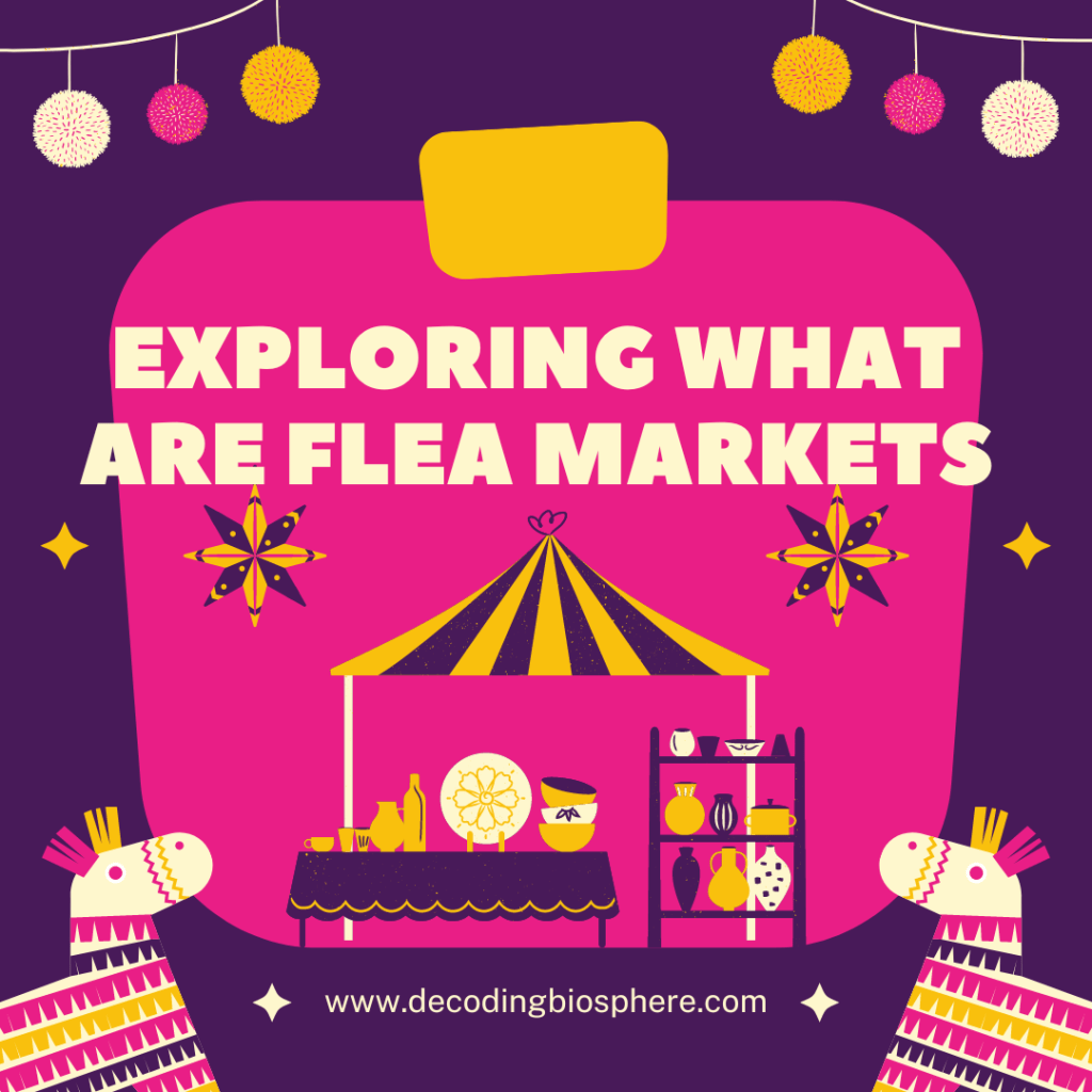 Exploring What are Flea Markets – Decoding Biosphere
