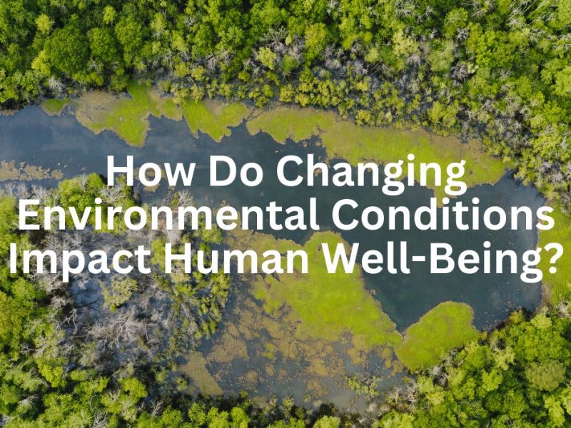 6 Ways Restaurants Can Improve Their Impact on the Planet – Decoding ...