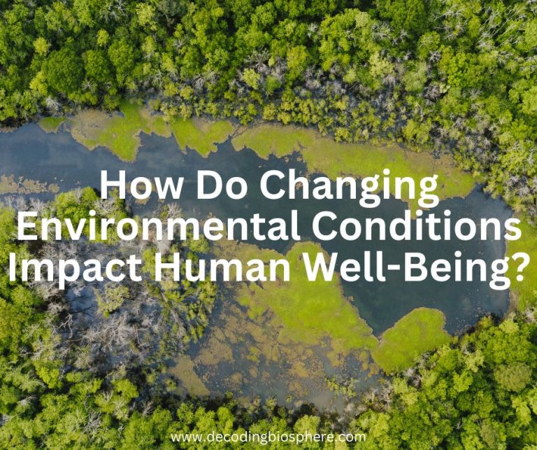 How Do Changing Environmental Conditions Impact Human Well-Being ...