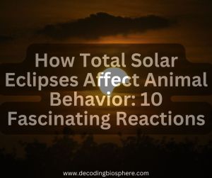 10 Fascinating Animal Reactions to Total Solar Eclipses – Decoding Biosphere