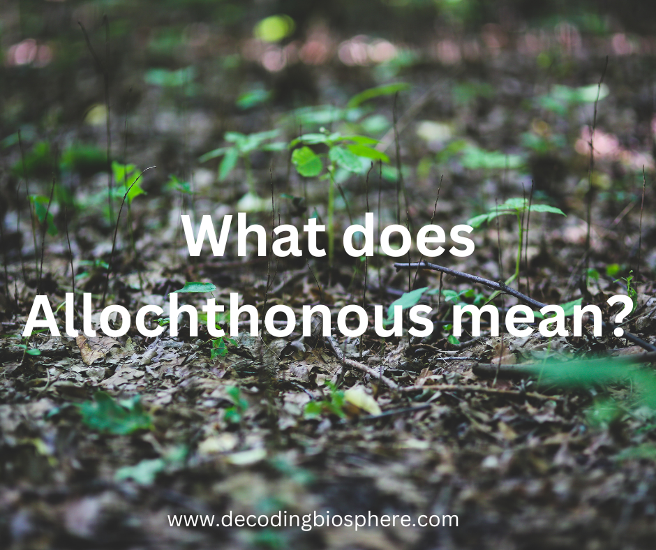 What does Allochthonous mean? – Decoding Biosphere