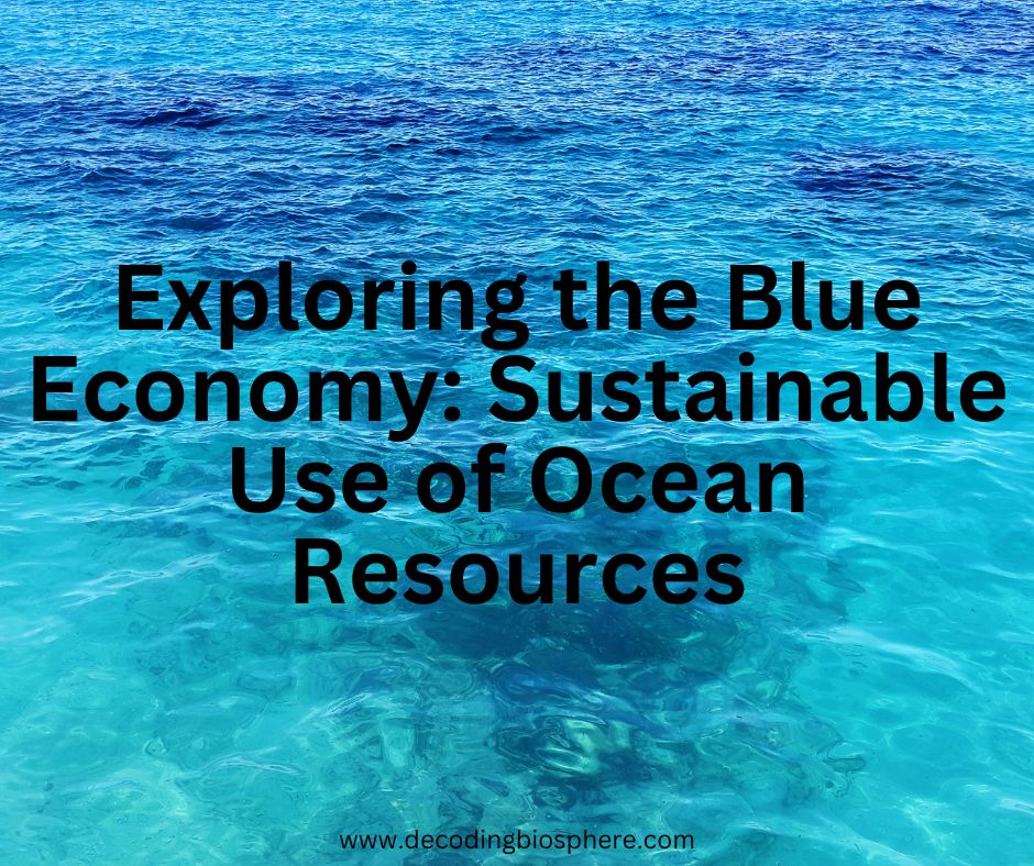 Exploring the Blue Economy: Sustainable Use of Ocean Resources ...