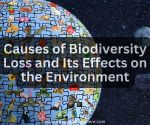 Causes of Biodiversity Loss and Its Effects on the Environment ...