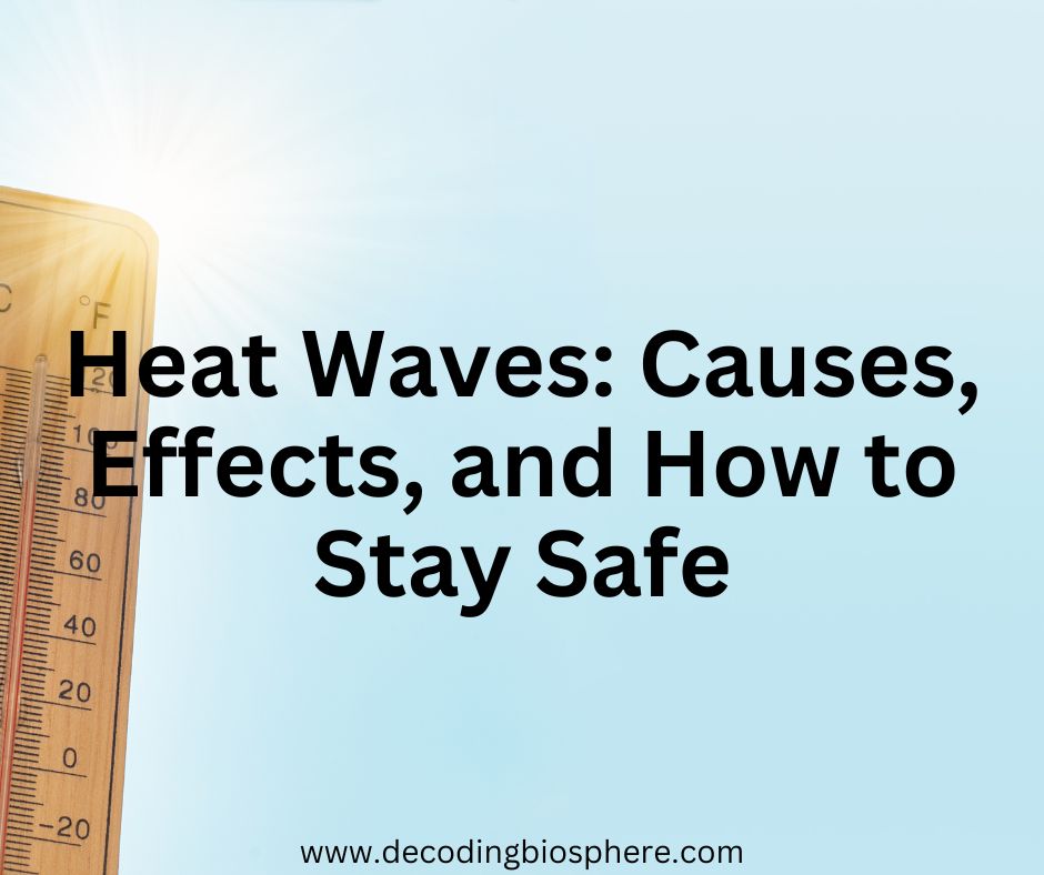 Heat Waves: Causes, Effects, and How to Stay Safe – Decoding Biosphere