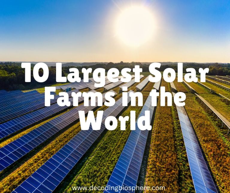10 Largest Solar Farms in the World – Decoding Biosphere