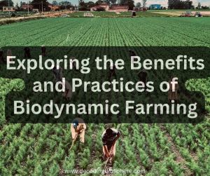 What is BATNEEC ? – Decoding Biosphere