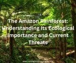 The Amazon Rainforest: Understanding Its Ecological Importance and ...