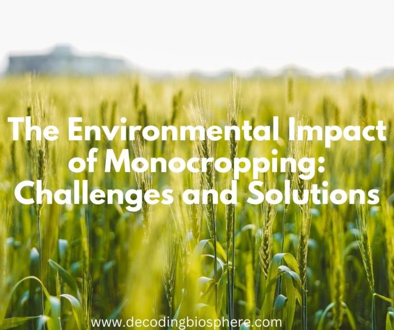 The Environmental Impact of Monocropping: Challenges and Solutions ...