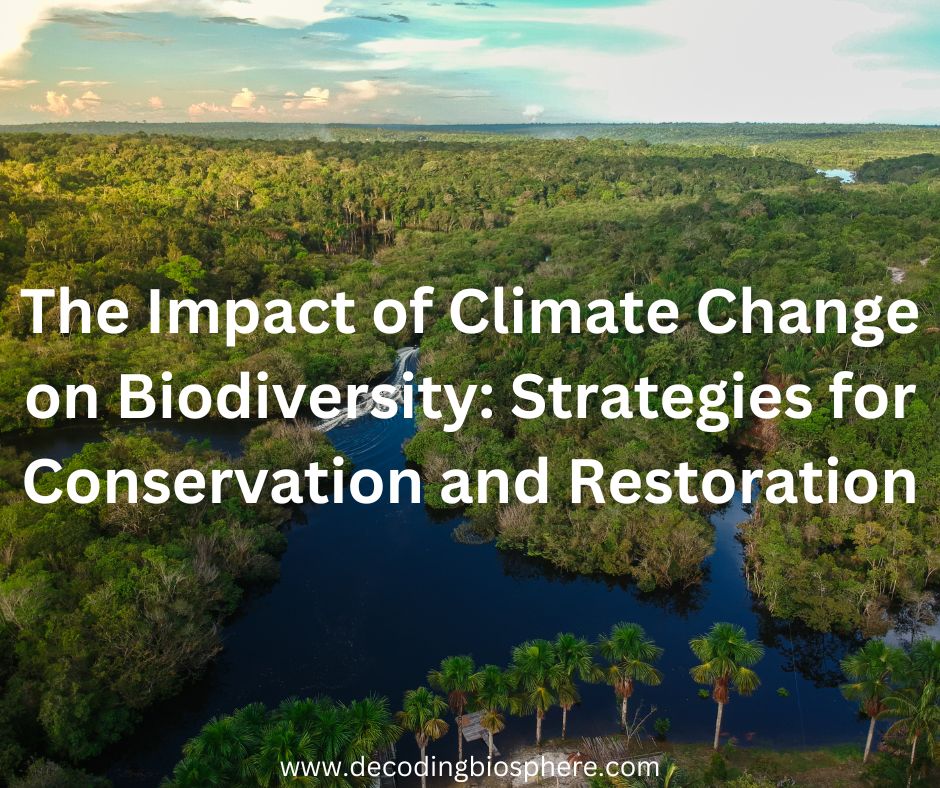 The Impact of Climate Change on Biodiversity: Strategies for ...