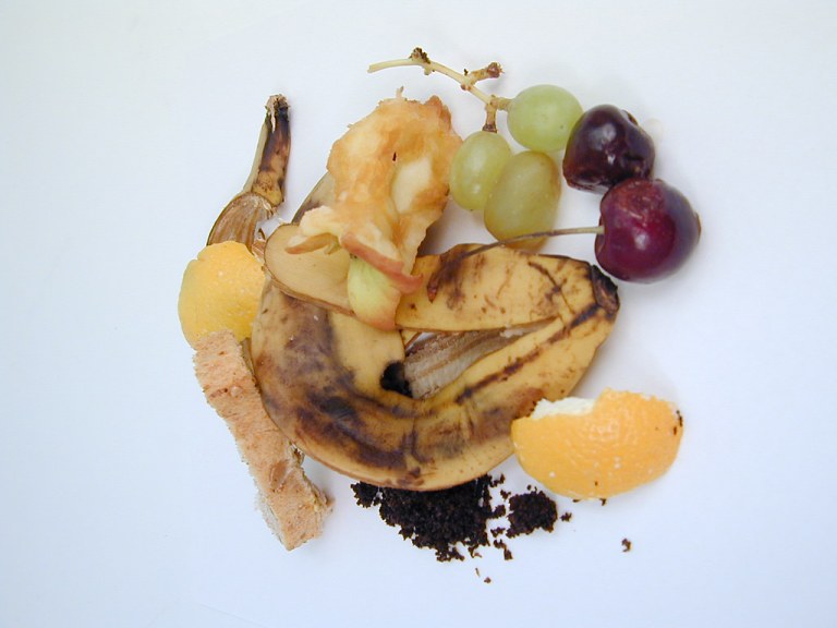 10 Ways to Use Food Scraps & Reduce Food Waste – Decoding Biosphere