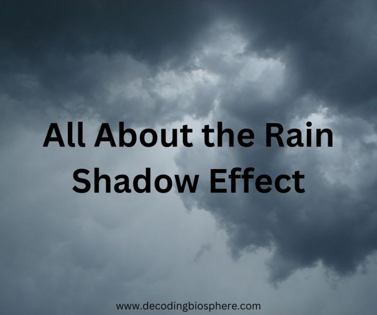 All About the Rain Shadow Effect – Decoding Biosphere