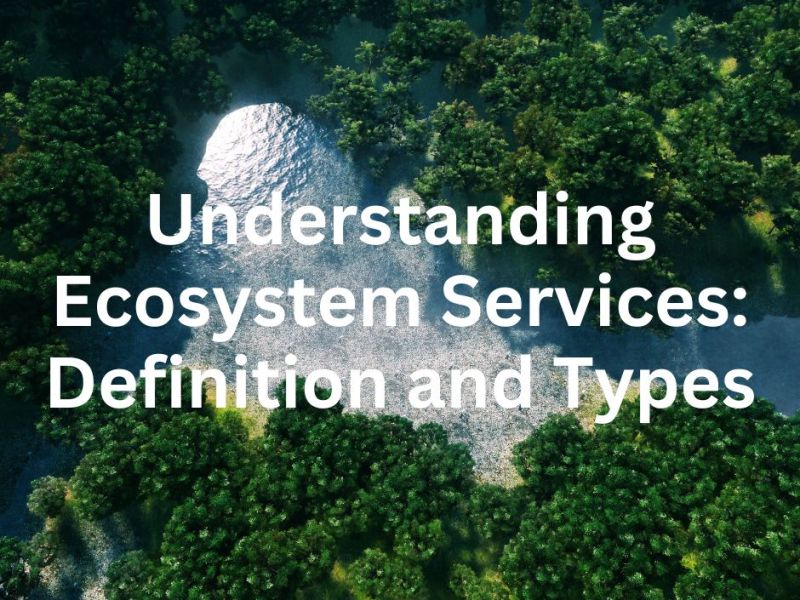 10 Largest Wildfires in the History – Decoding Biosphere