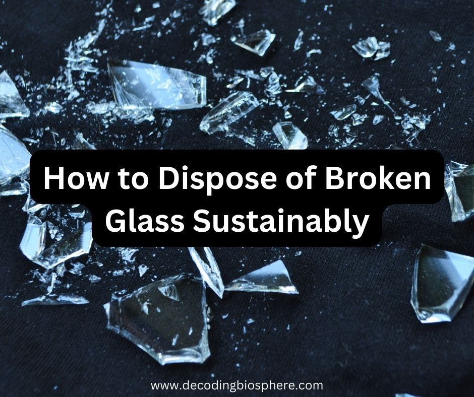How to Dispose of Broken Glass Sustainably: A Comprehensive Guide ...