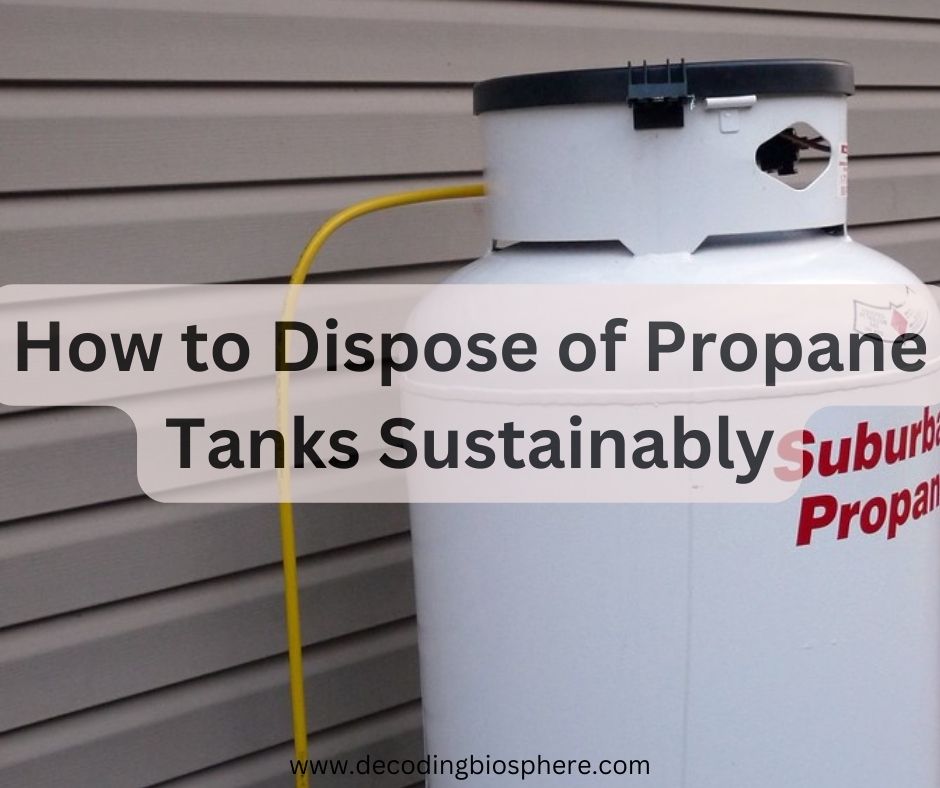 How to Dispose of Propane Tanks Sustainably: A Comprehensive Guide ...