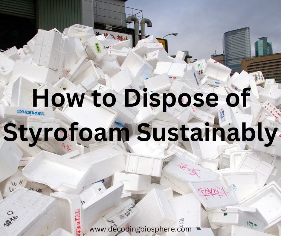 How to Dispose of Styrofoam Sustainably: A Comprehensive Guide ...
