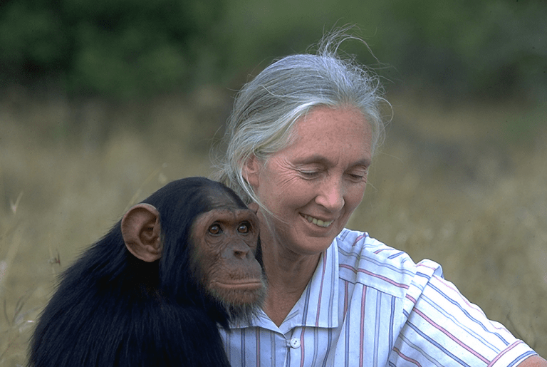 15 Most Influential Climate Activists – Decoding Biosphere