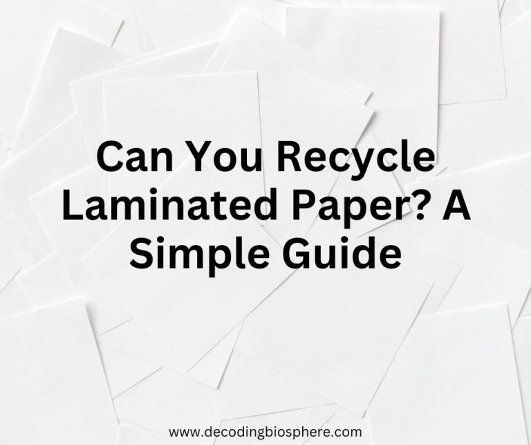Can You Recycle Laminated Paper? A Simple Guide – Decoding Biosphere