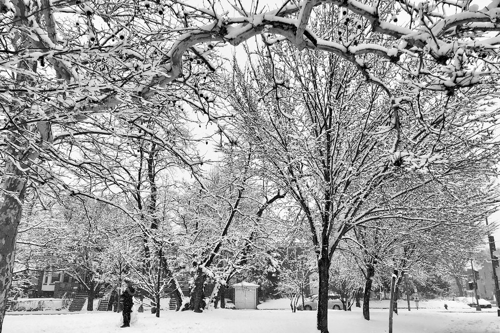 8 Different Types of Storms – Decoding Biosphere