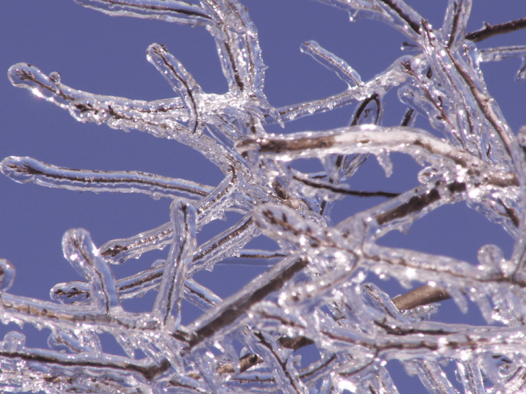 8 Different Types of Storms – Decoding Biosphere