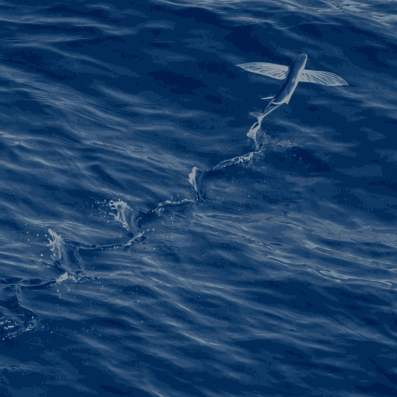 7 Fascinating Defense Mechanisms of Animals – Decoding Biosphere