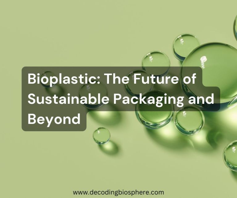 Bioplastic: The Future of Sustainable Packaging and Beyond – Decoding ...