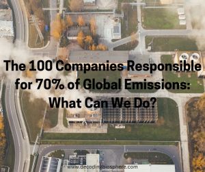 The 100 Companies Responsible for 70% of Global Emissions: What Can We ...