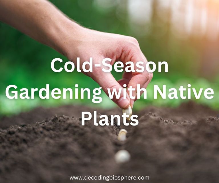 Cold-Season Gardening with Native Plants – Decoding Biosphere