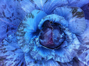 15 Blue Vegetables: A Unique and Nutritious Addition to Your Diet ...