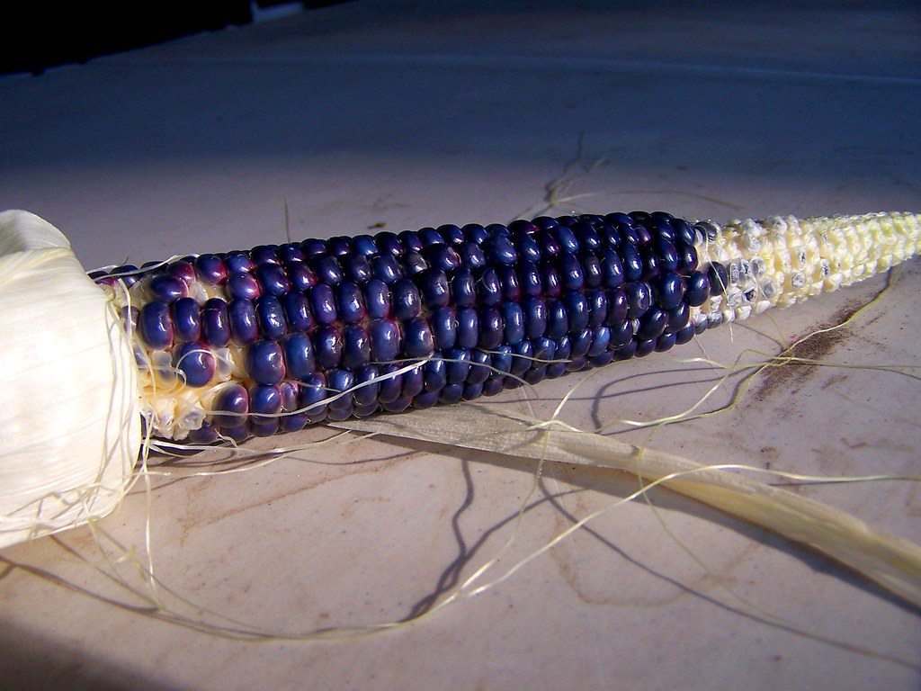 15 Blue Vegetables: A Unique and Nutritious Addition to Your Diet ...