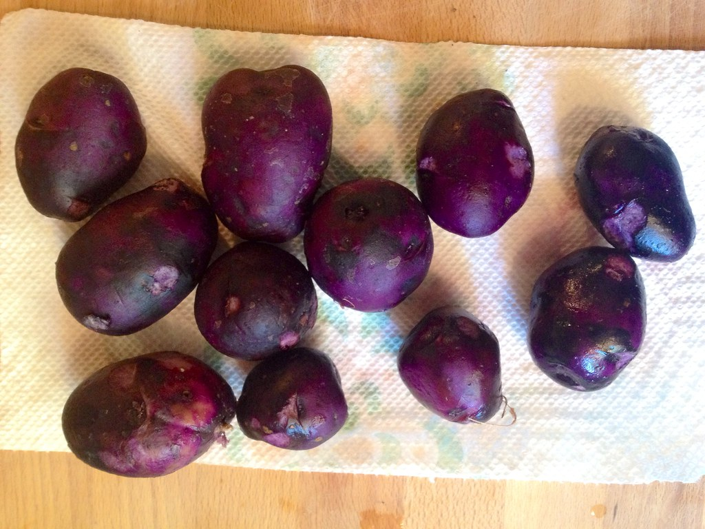 15 Blue Vegetables: A Unique and Nutritious Addition to Your Diet ...