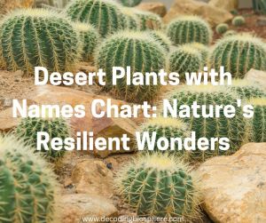 Desert Plants with Names Chart: Nature’s Resilient Wonders – Decoding ...